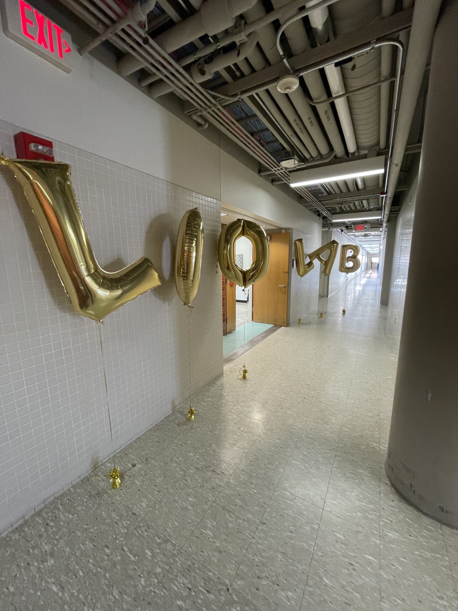 Loo Lab Open House – Loo Lab – UW–Madison